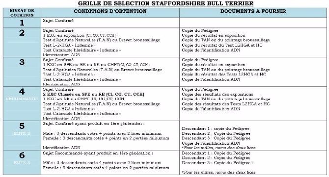 Accueil - Elevage Jichou's - eleveur de chiens Staffordshire Bull Terrier